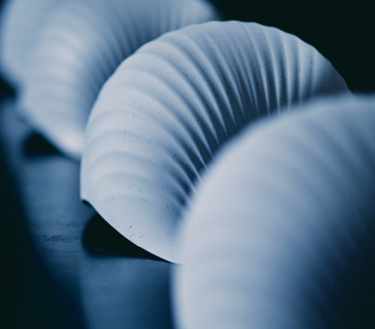 SHELLMET – KOUSHI STORE